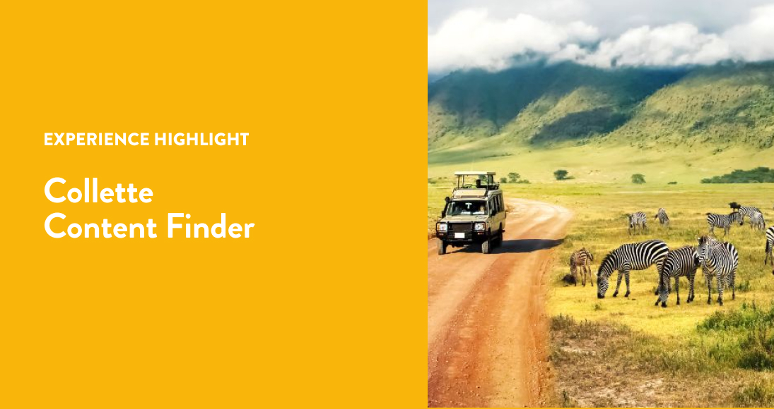Experience Highlight: Collette Content Finder – Wyng